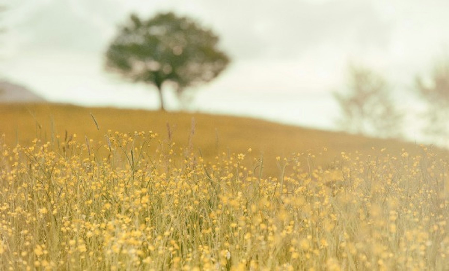 What Is the Highest Good? | Desiring God