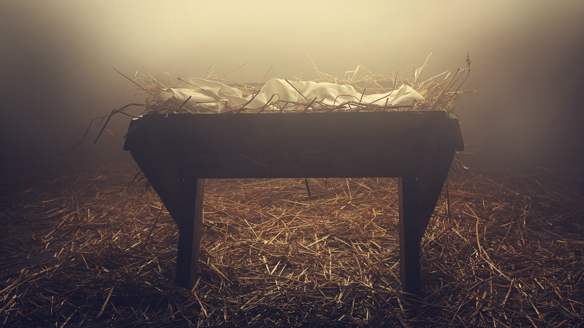 Luke 2:15–20: The Night Was Not Exactly Silent | Desiring God