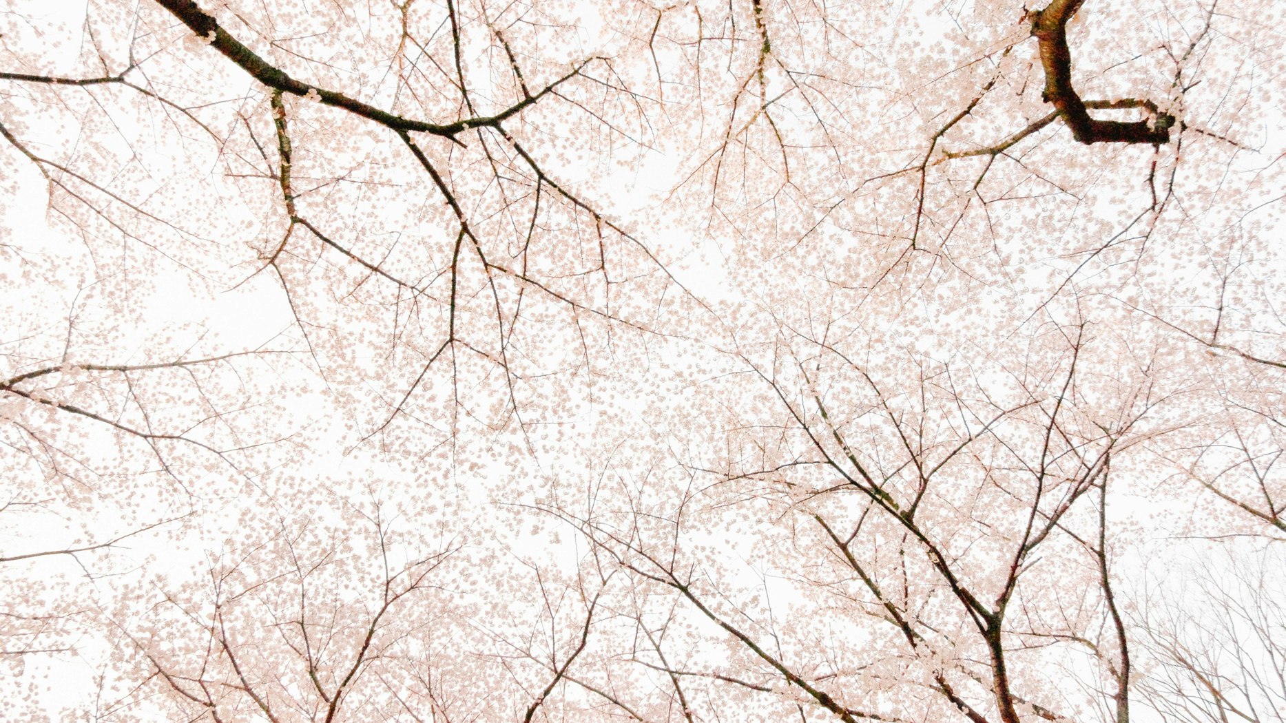 You Need Not Worry About Next Year | Desiring God